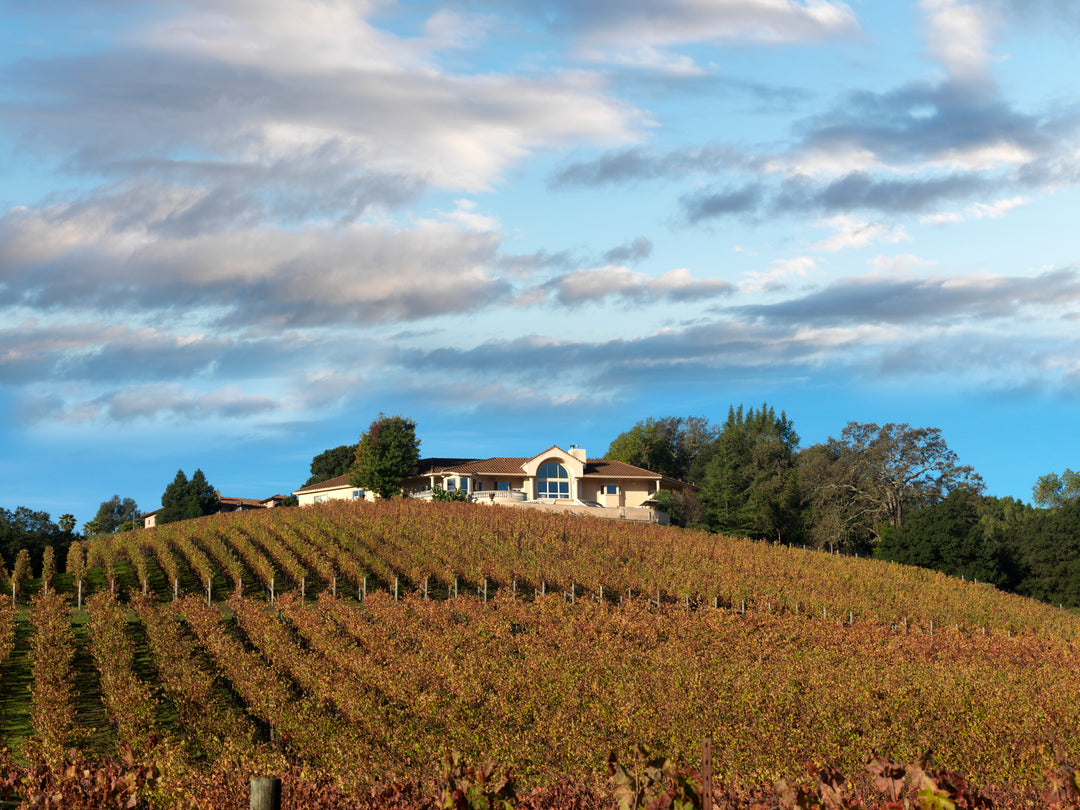 Padis Vineyards Gallery, Napa Valley